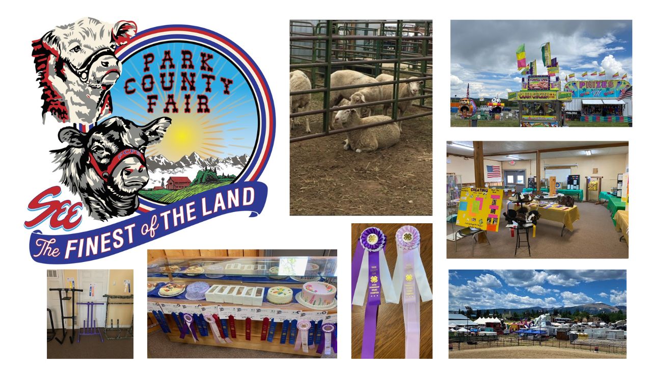 County Fair 2022 Prizes