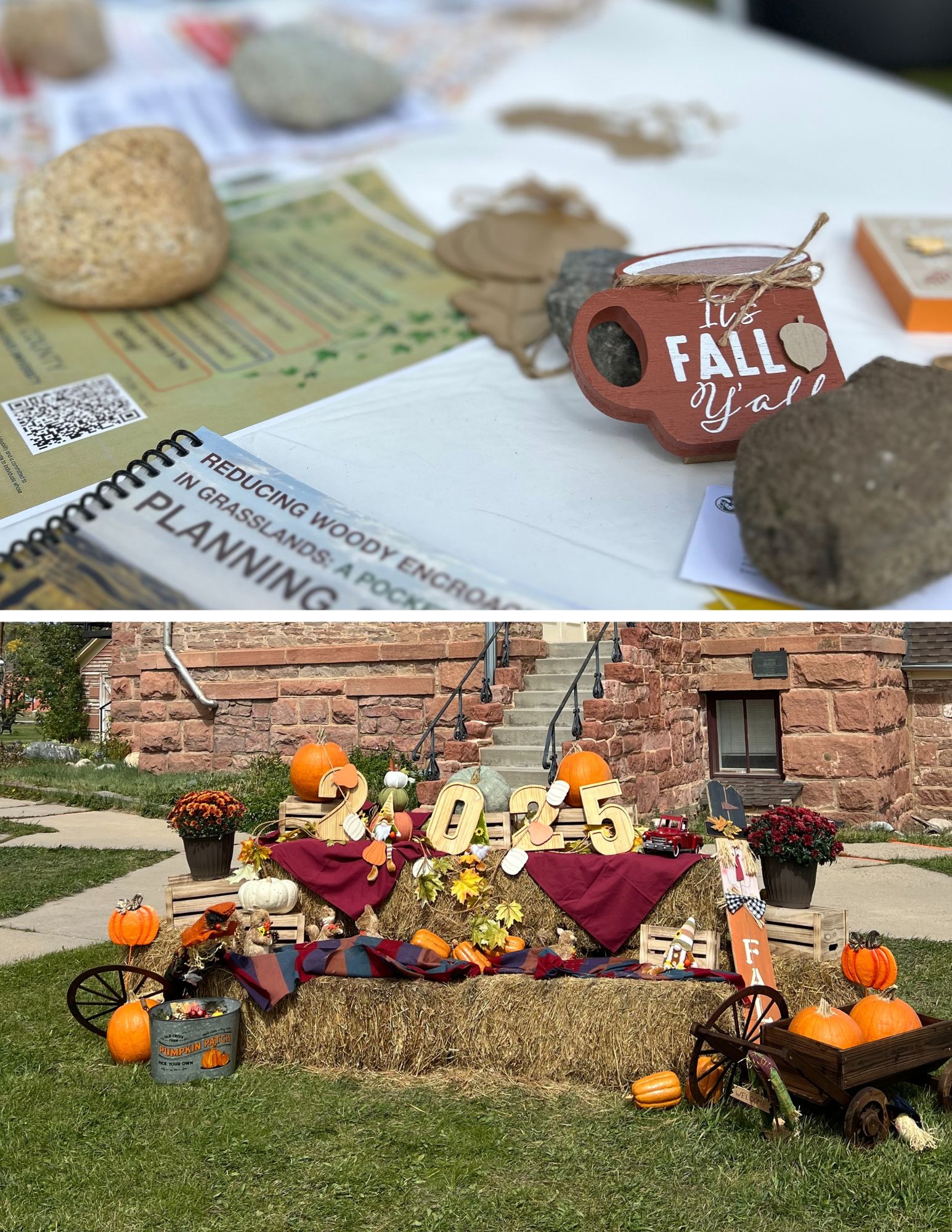 Park County CSU Extension at Fairplay Fall Festival – Park County Extension